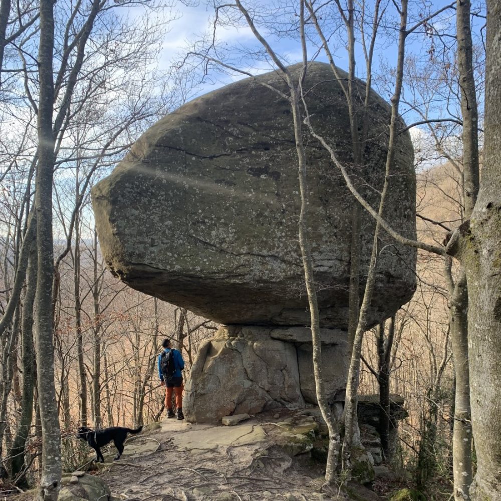 Excursió les Roques Encantades i el bolet de Toia